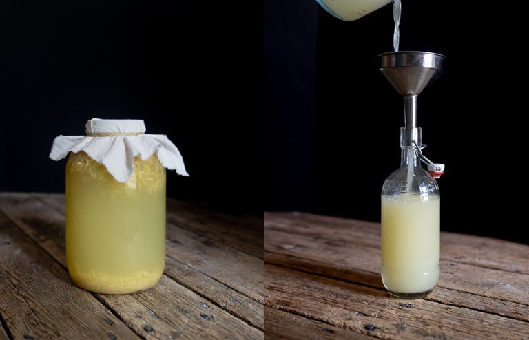 DIY Fermented Soda Is The Technique You ve Been Waiting For Campari DIY Fermented Soda Is The Technique You ve Been Waiting For Campari