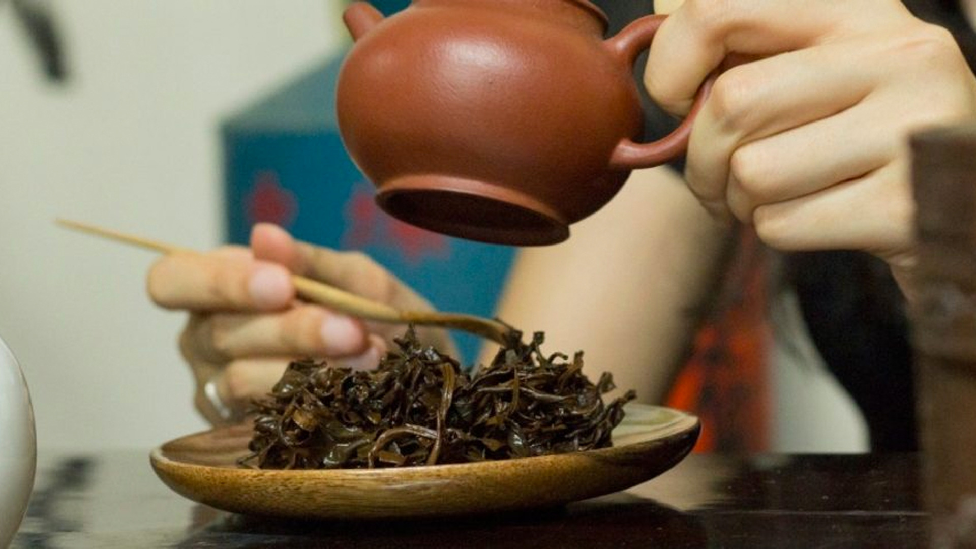 Os Tesouros do Chá de Taiwan - Campari Academy