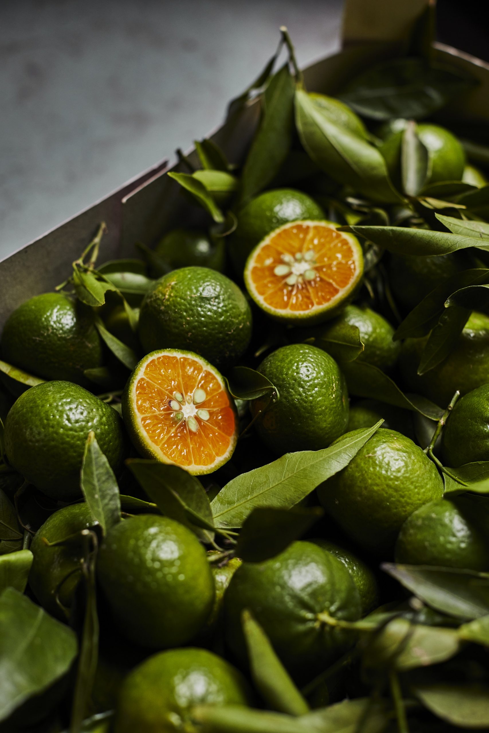 Natoora needs you to change the food system - Campari Academy