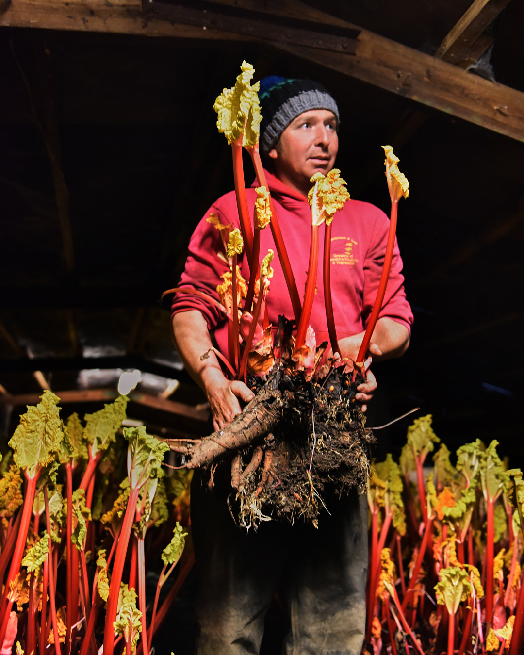 Natoora needs you to change the food system - Campari Academy