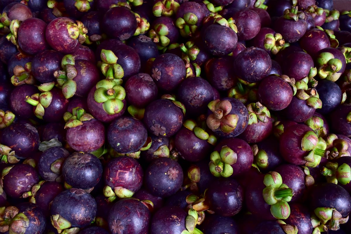 Flavour of: Singapore's tropical fruits