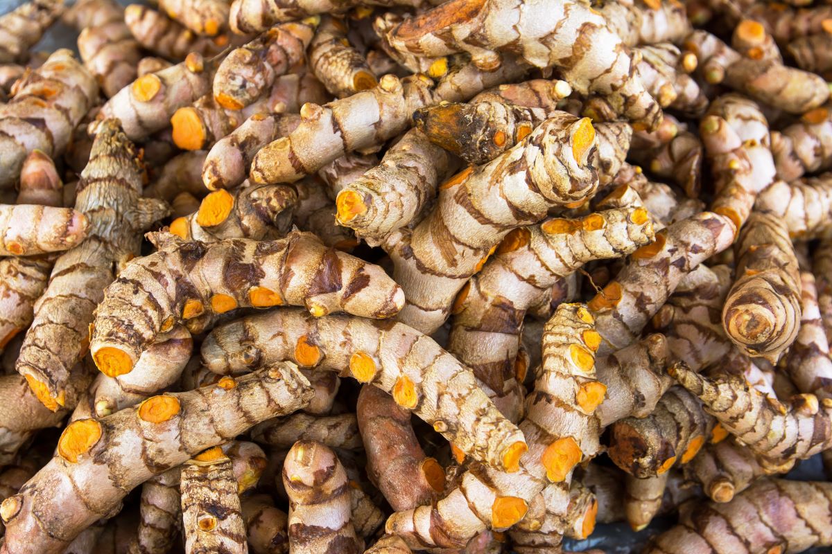 Flavour of: Thailand's spices and herbs - CAMPARI ACADEMY