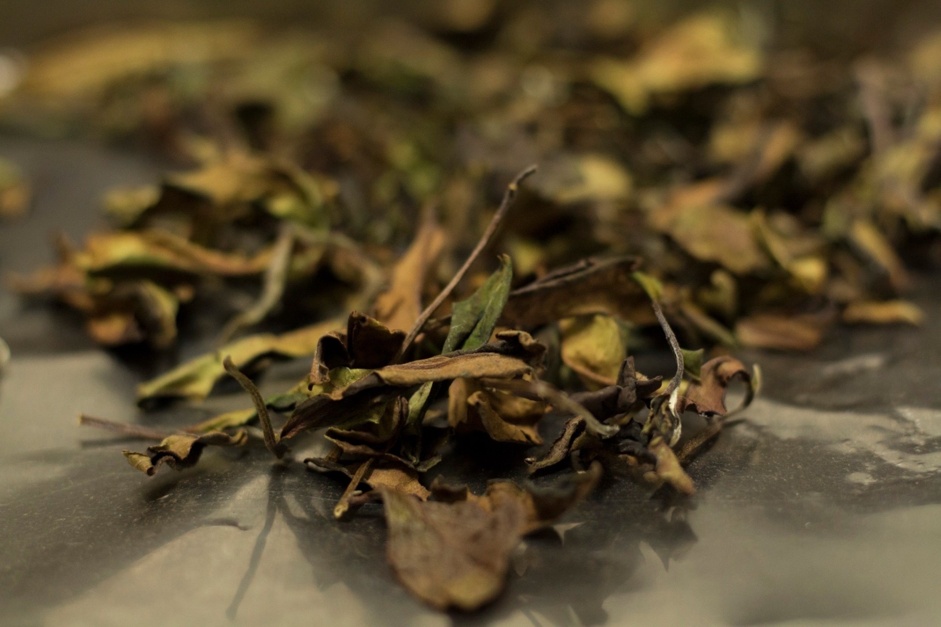 Flavour of: Taipei – Tea - Campari Academy